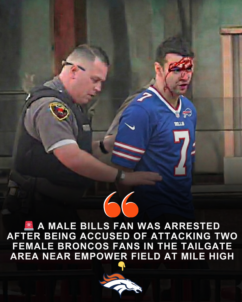 A Male Bills Fan Was Arrested After Being Accused of Attacking Two ...